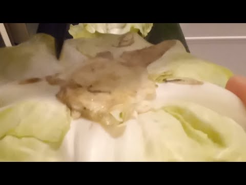 Live/Cabbage Peeling/Enjoy Watching - YouTube