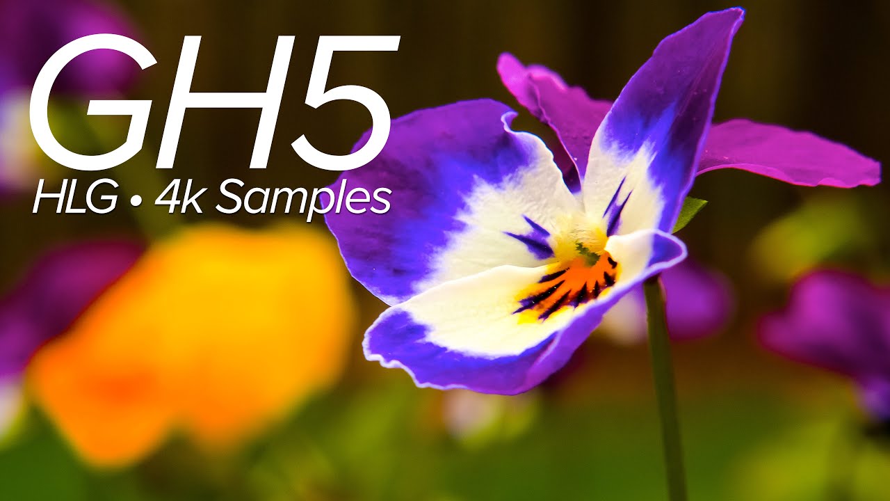 GH5 Panasonic • Quick Test 4k HLG | V-Log l, HLG, 6K h265 - YouTube