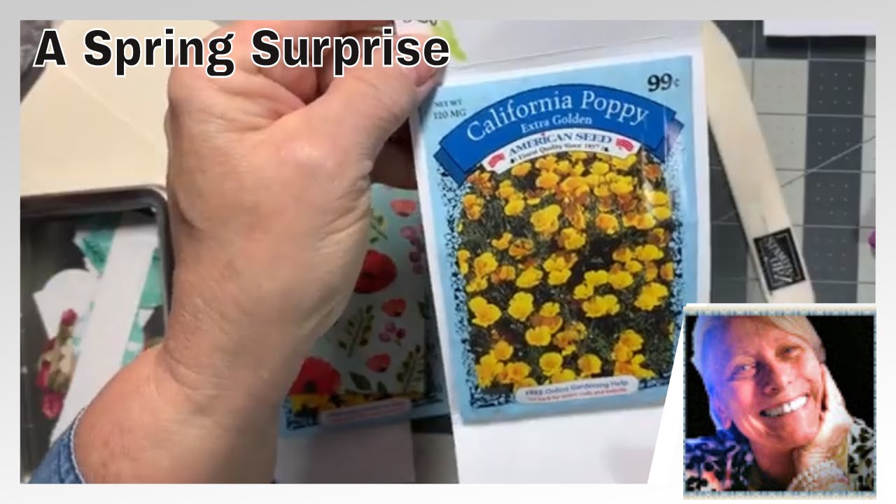 Using Paper -a seed packet-and ribbon make a unique gift card - YouTube