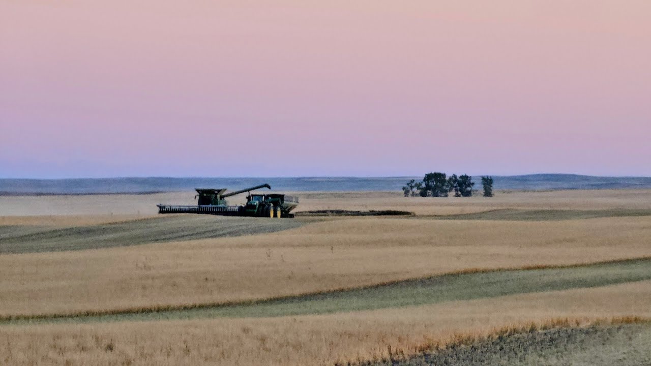 On to Chickpeas! | Mike Mitchell | The Content Farm