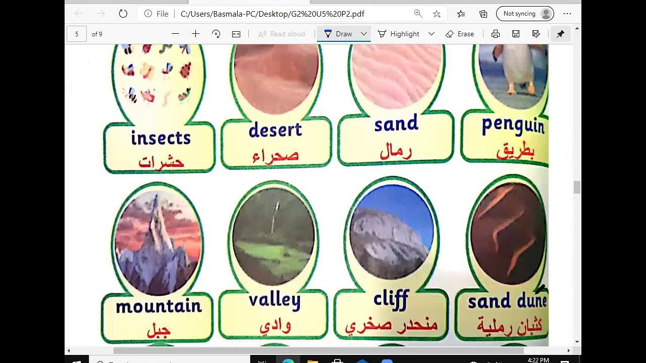 Connect plus 2 unit 5 part 2 lessons 4, 5, 6, 7 - YouTube
