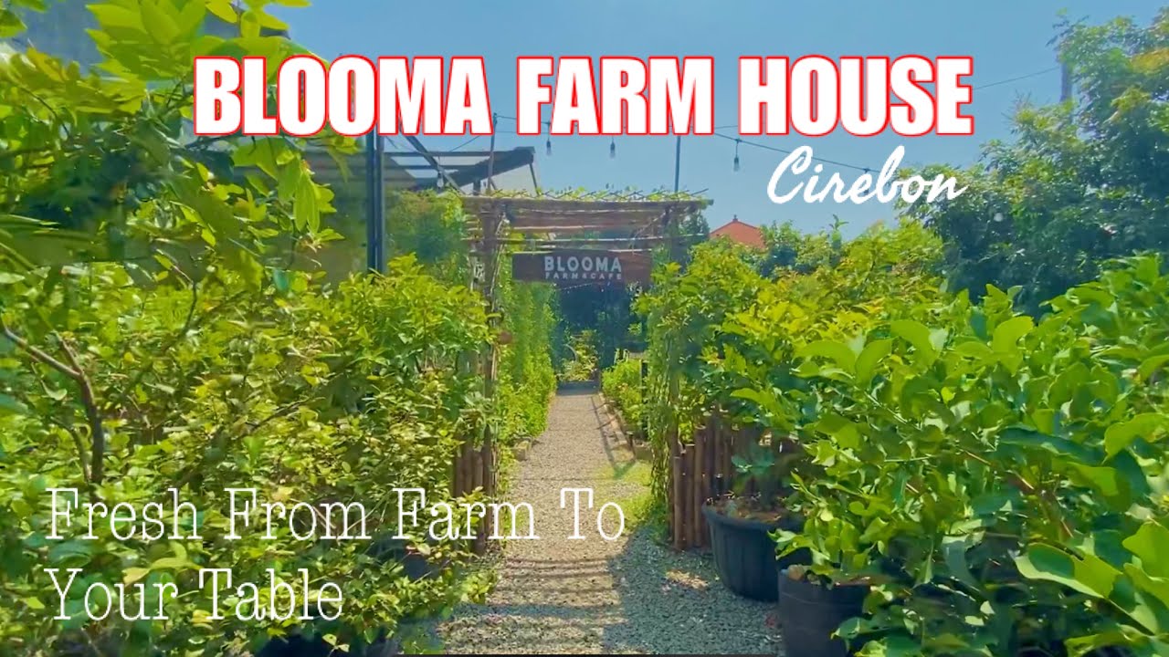 BLOOMA FARM HOUSE CIREBON - YouTube