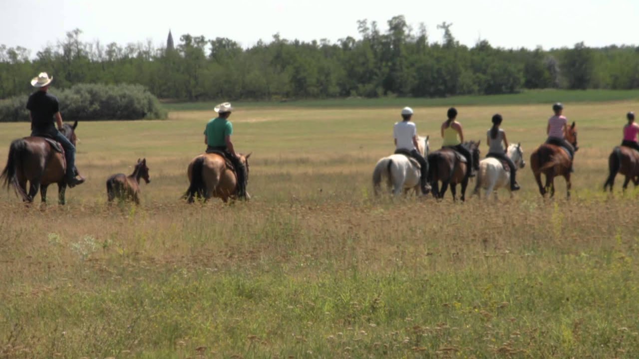 Morning Star Ranch Ministry - YouTube
