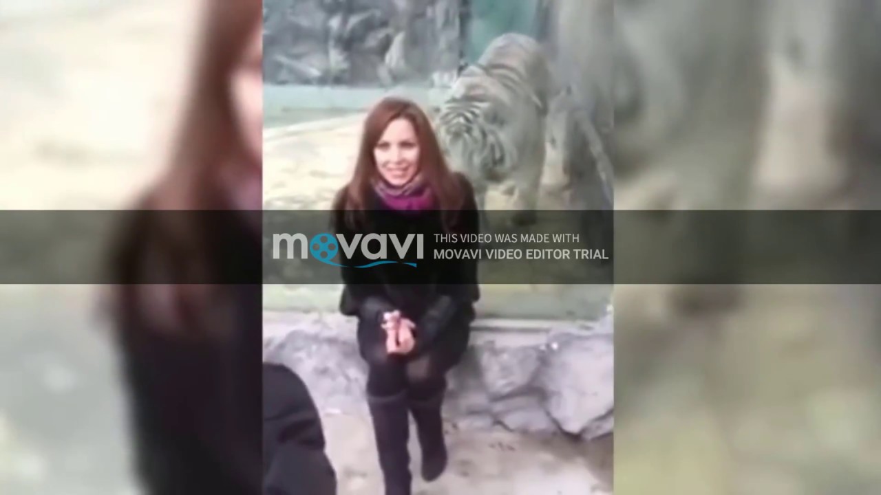 YOU WILL LAUGH TILL U POooPP!!!!!! Watch This Video Without Laughing ...