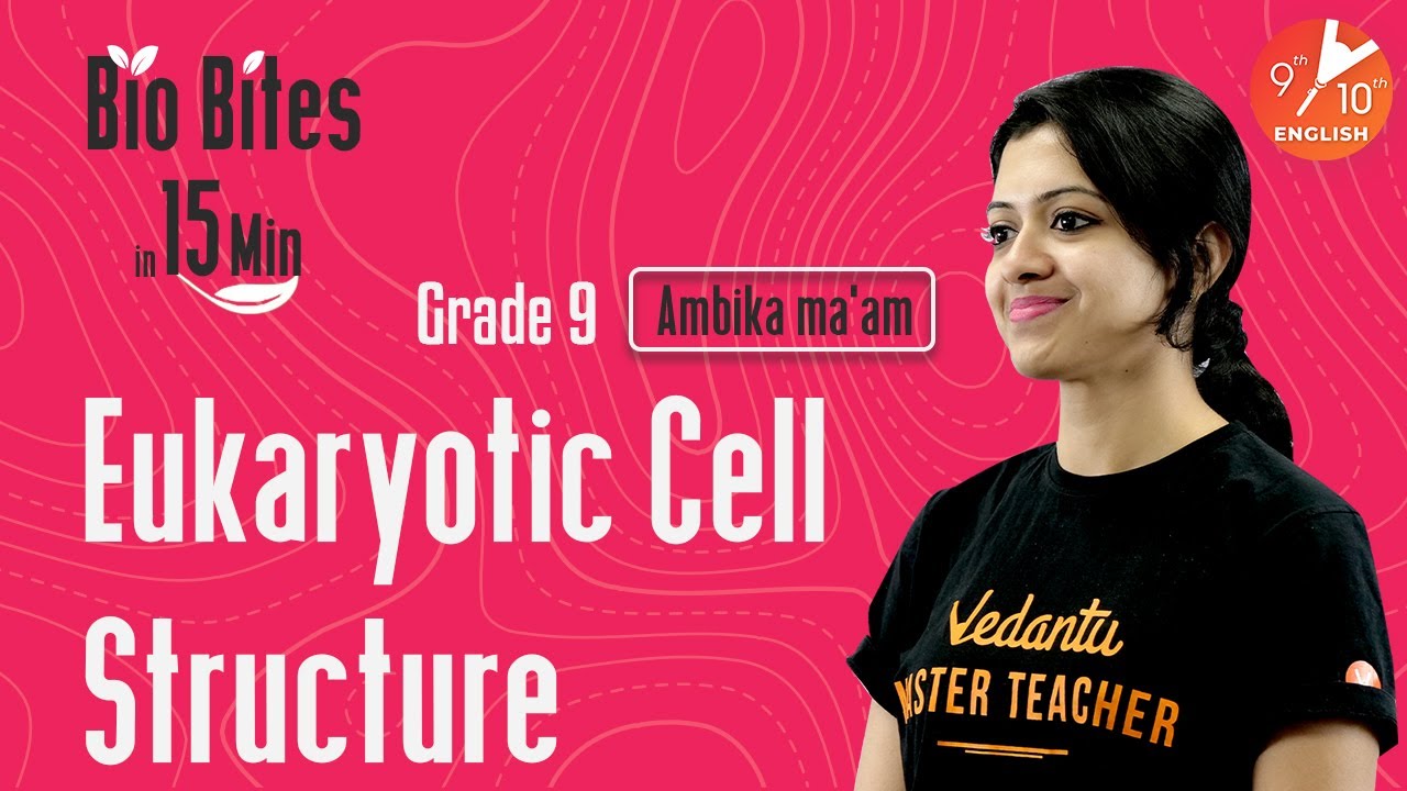 Bio Bites in 15 Minutes L-1 | Eukaryotic Cell - Structure | CBSE Class ...