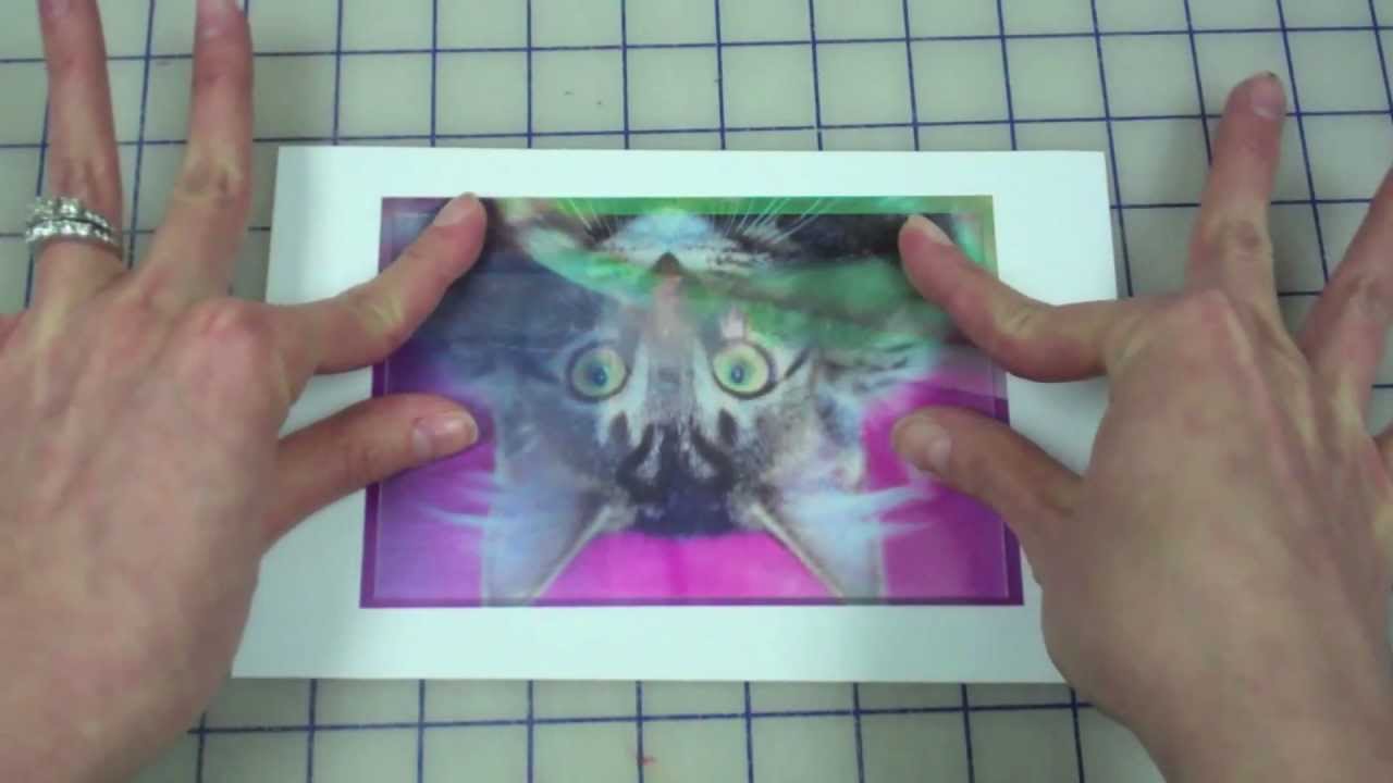 Cat & Mouse Project Trailer - YouTube