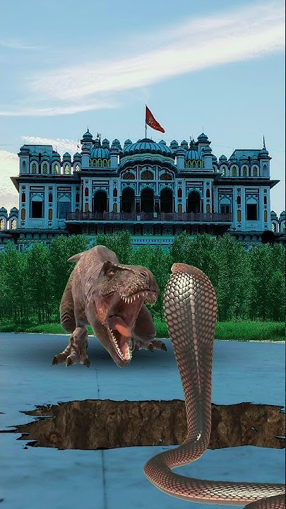 trex dinosaur vs python snake fight vfx video #short #dinosaur #snake # ...