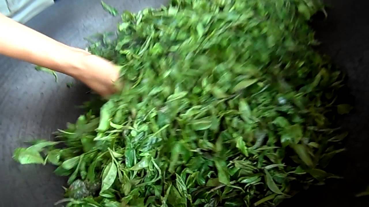 Tea Master Zhong Xin wok firing tea leaves - YouTube