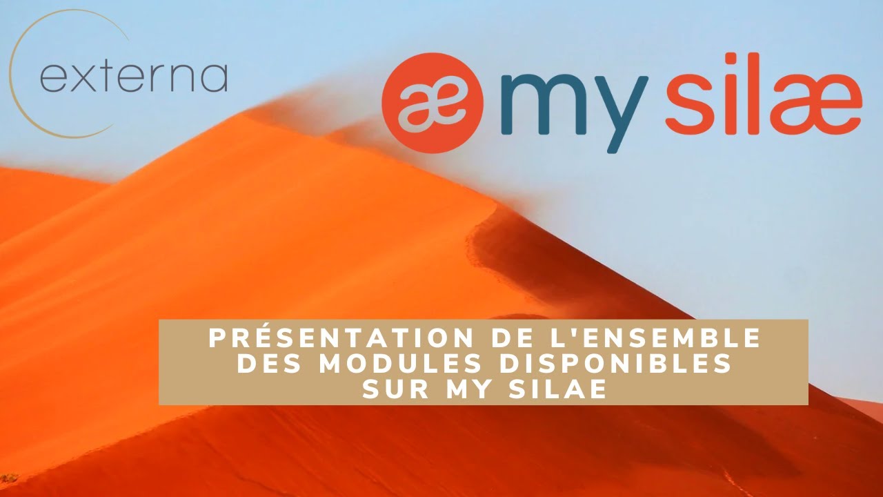 Présentation de l'ensemble des modules disponibles sur My Silae - YouTube