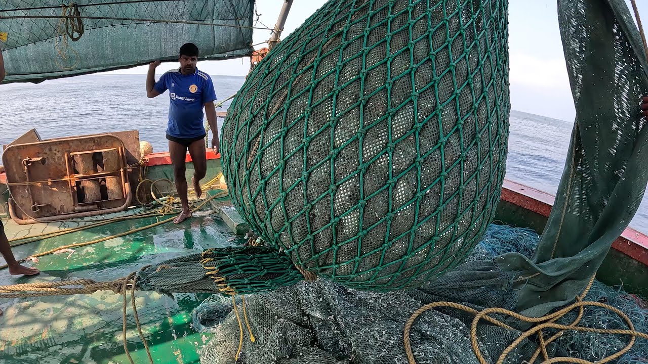 Amazing Fast Tuna Fishing Skill, Catching Fish Big on The Sea @FISH_TV ...