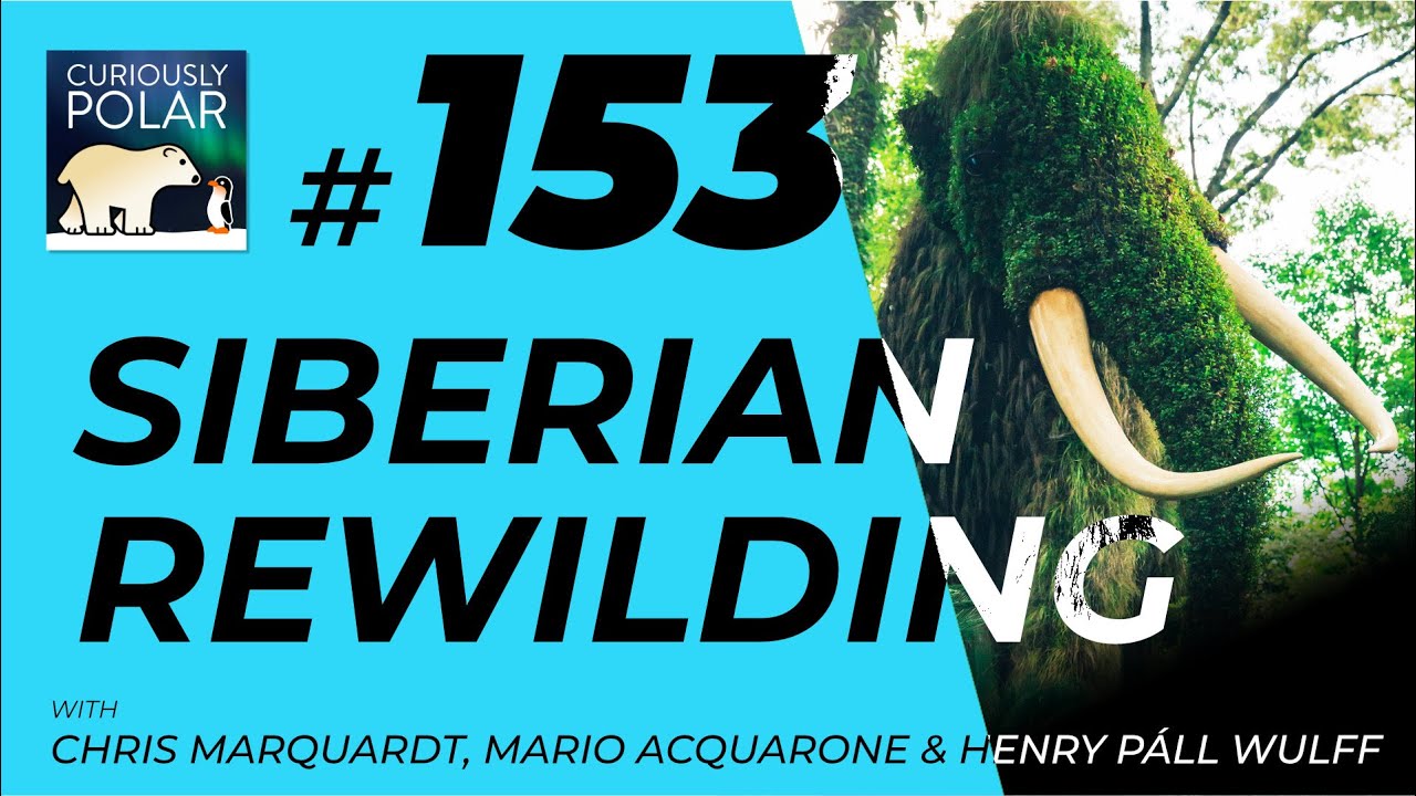 153 A Siberian Rewilding - YouTube