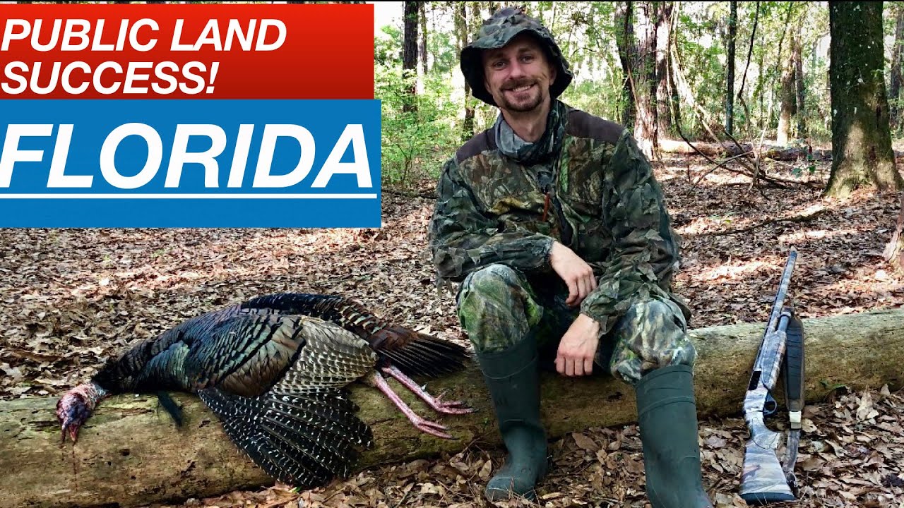A Three Year Wait for a 3 Hour Hunt! Public Land Turkey Hunting in ...