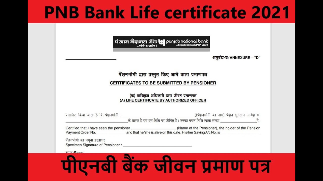 PNB Life certificate kaise fill kare | Fill Life certificate of Punjab ...