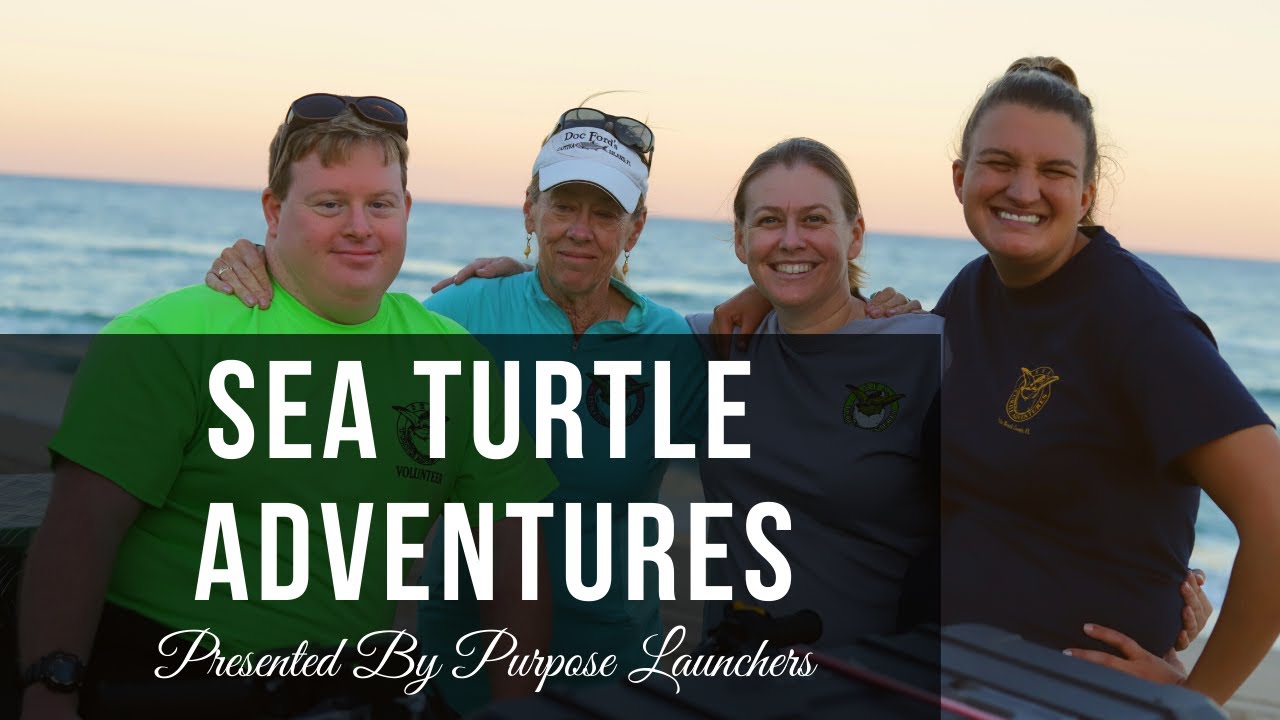 Sea Turtle Adventures Story - YouTube