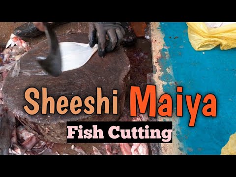 Fish Video | Sheeshi Maiya Fish Cutting - YouTube