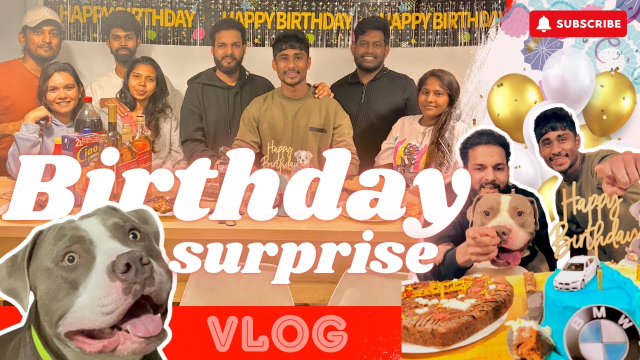 Birthday Surprise Vlog එකක් 🎂💫💗🍻 - YouTube
