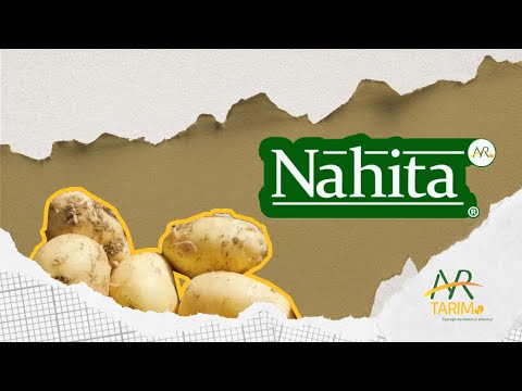 NAHİTA