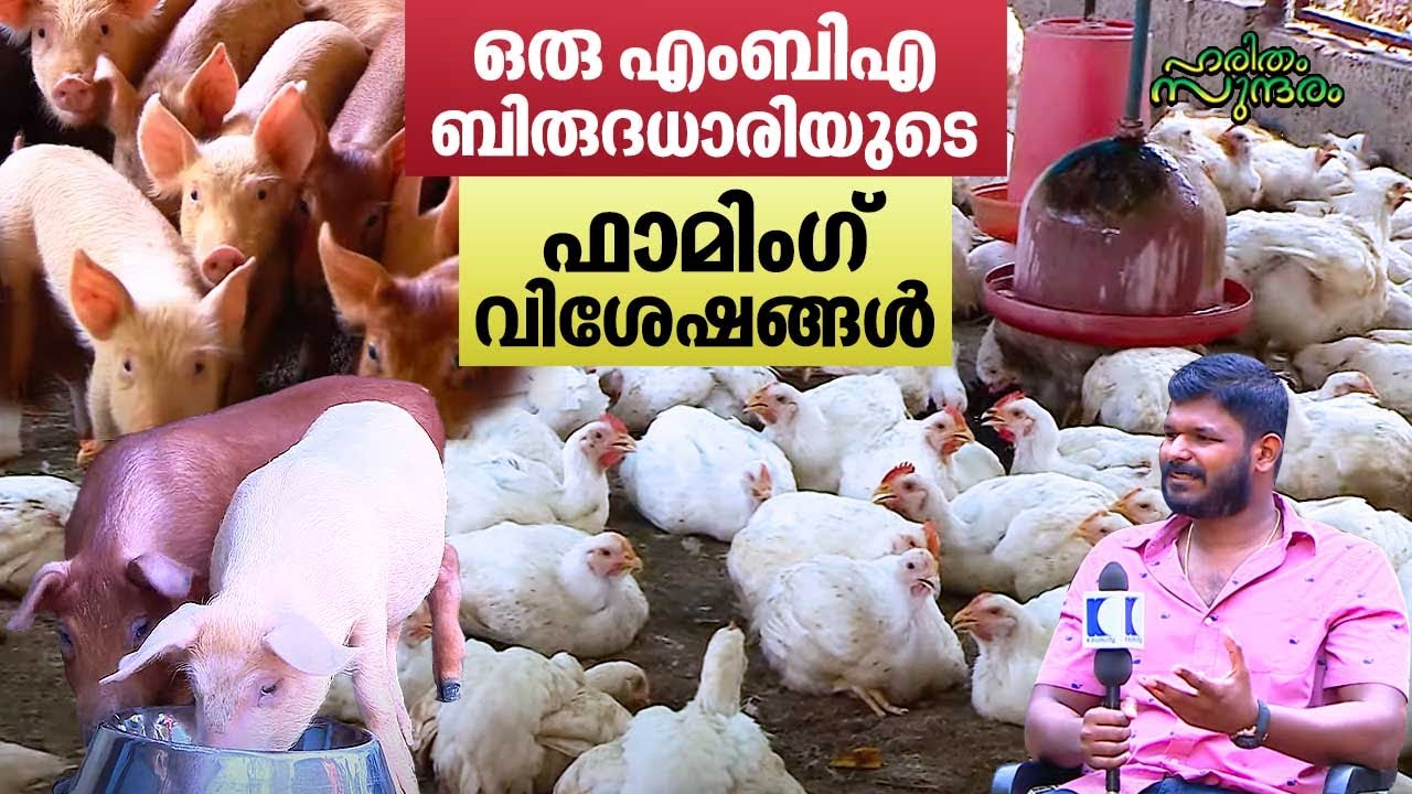 Meet Mathukutty, an MBA graduate who turned his farm into a profitable ...