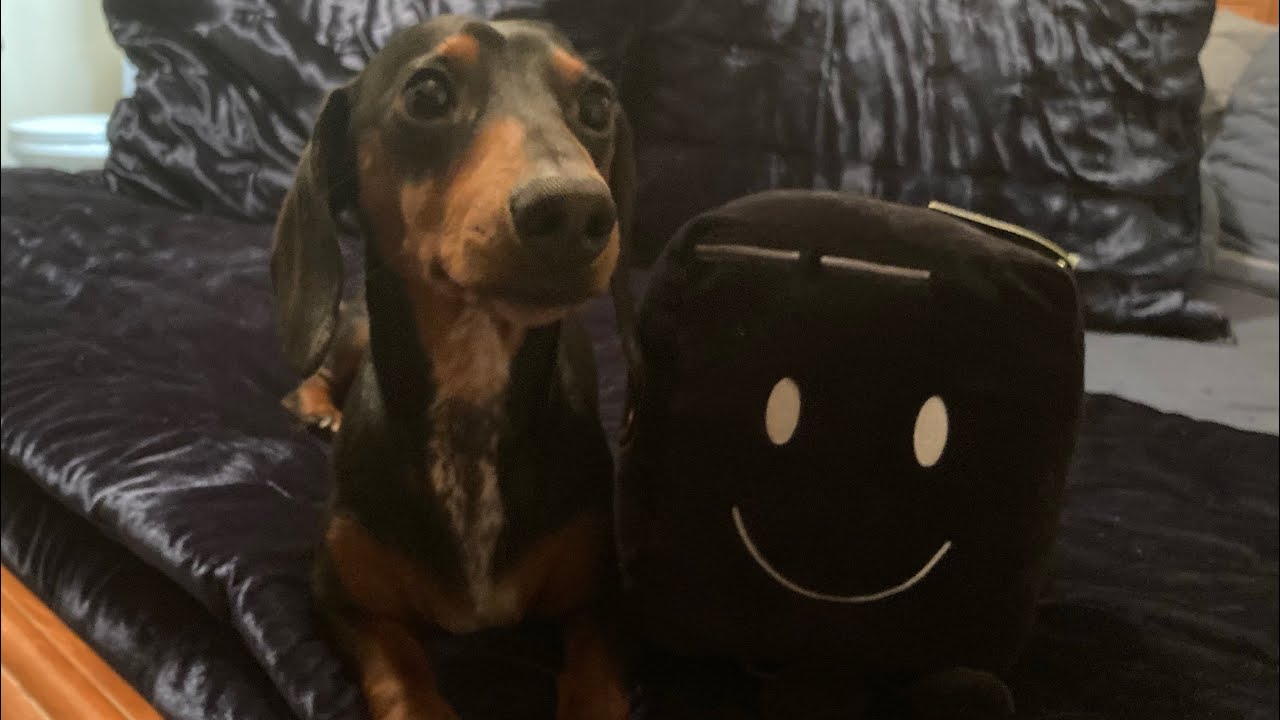 Unboxing the Computer plushie - YouTube