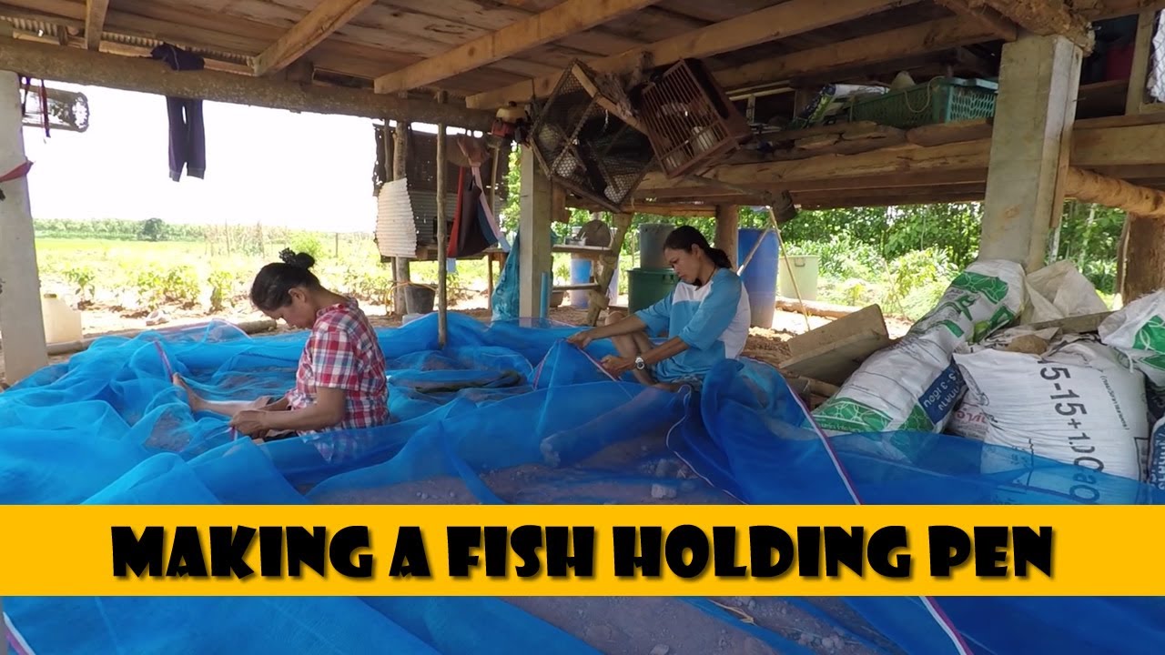 Making a Fish Holding Pen - YouTube