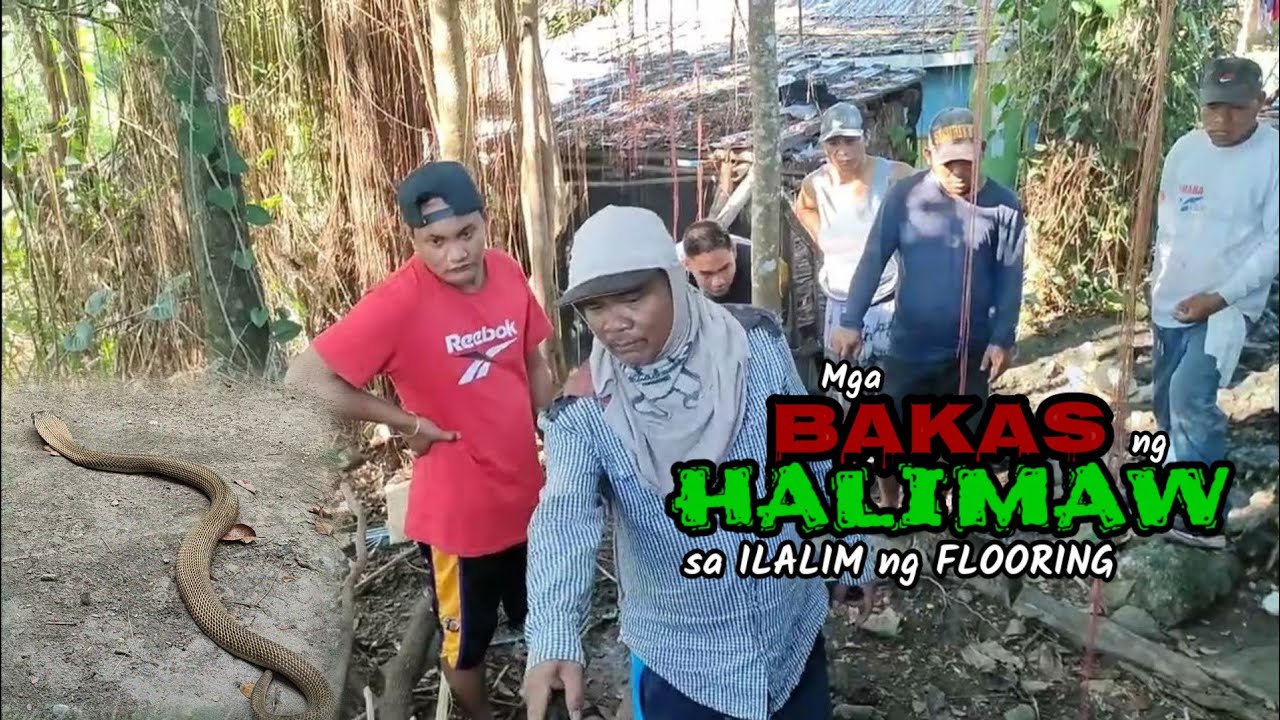 Mga bakas ng Halimaw sa ilalim ng flooring | zuma haring ahas - YouTube
