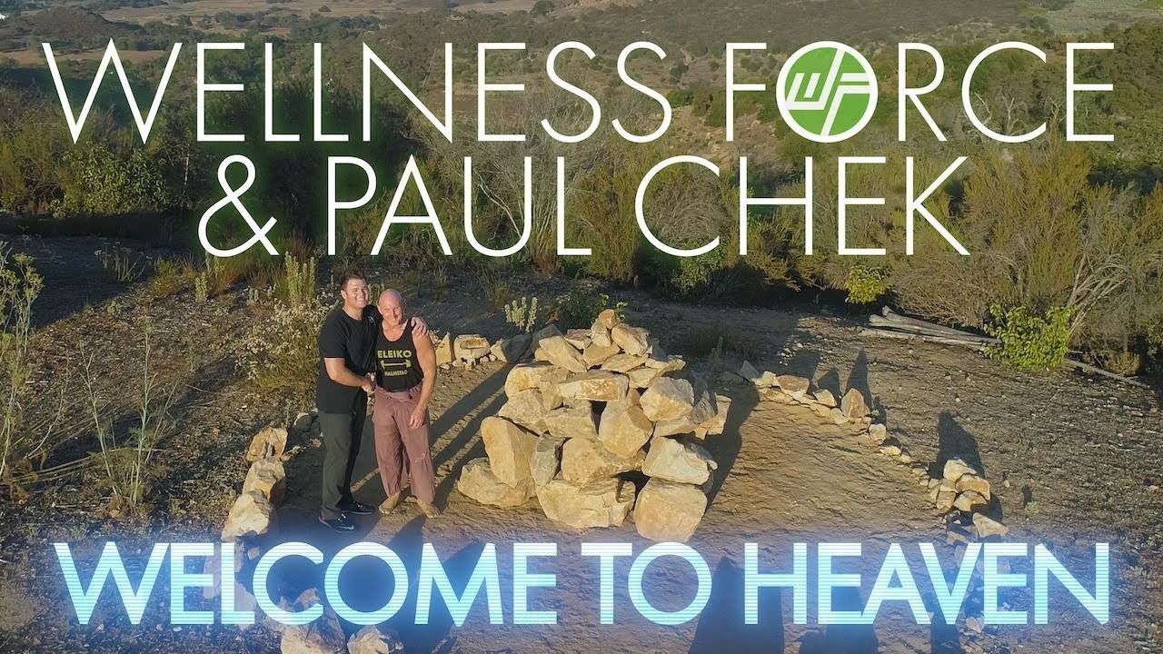 PAUL CHEK: WELCOME TO HEAVEN (Wellness Force TOUR) - YouTube
