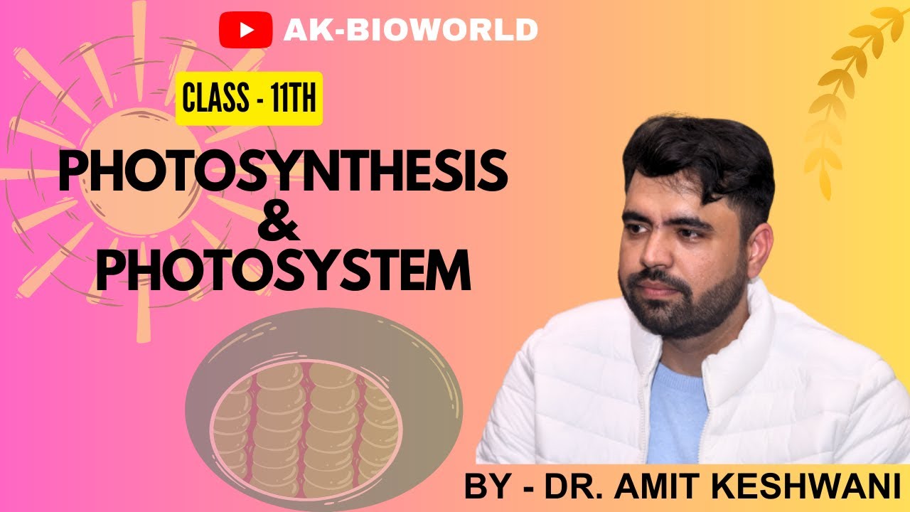 Best Ever Study Of Photosynthesis & Photosystem With Amazing ...