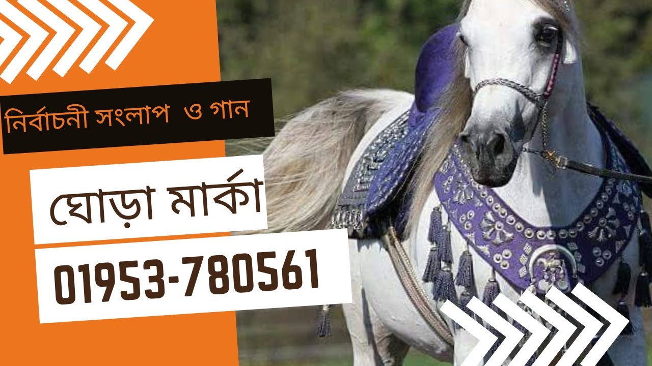 ghora marka song & songlap।। ঘোড়া মার্কার গান ও সংলাপ।। নির্বাচনী গান ...