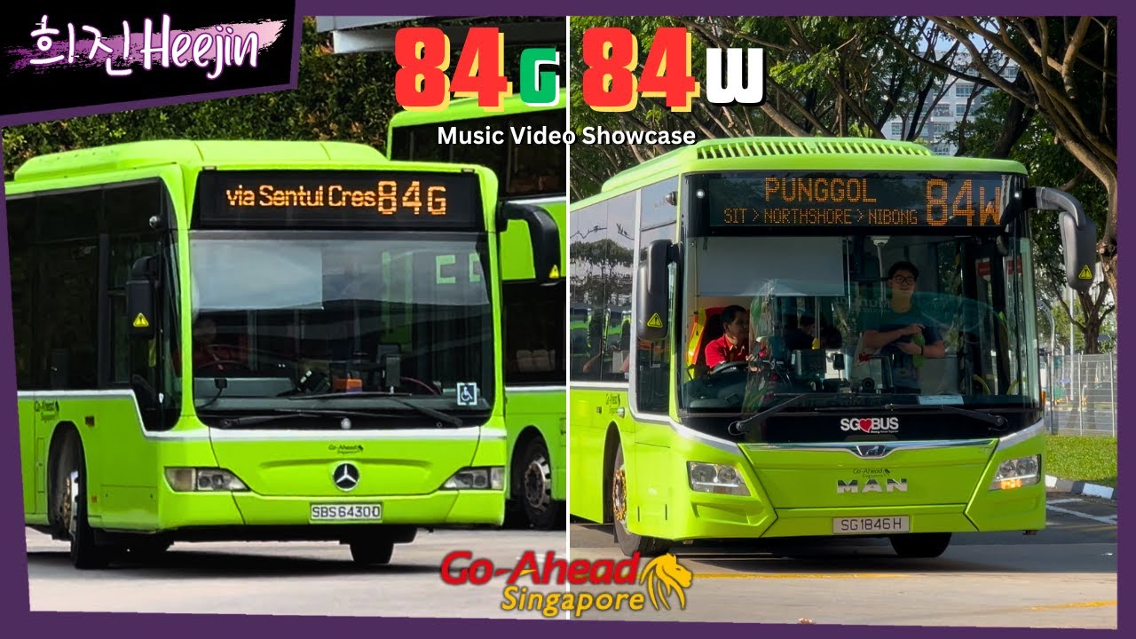 Bus Service 84G/W First Day of Operations Music Video Showcase | 희진 ...