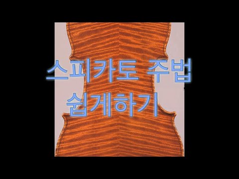 [비쏠루띠]활쓰기 주법3(스피카토) spiccato bow - YouTube
