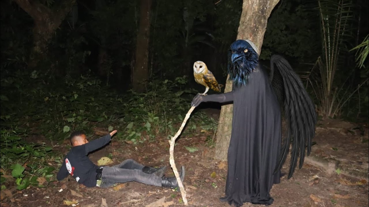 lenda da matinta pereira a bruxa que se transforma na coruja rasga ...