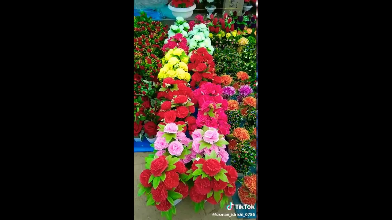 Verity Of Flower🌺🌻🌹🌷🌹🌺💐🌺🌻🌹🌷 - YouTube