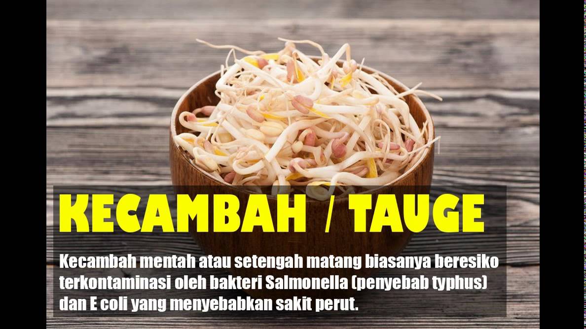 Makanan Yang Harus Dihindari Saat Hamil Youtube