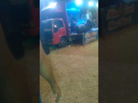 Mikayil cebrail süper uzun hava