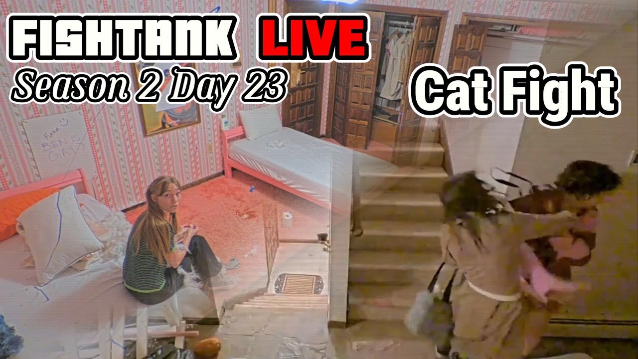 Fishtank LIVE S2 Day 23 - DRAMA DIGEST - Tayleigh Punches Trisha - YouTube