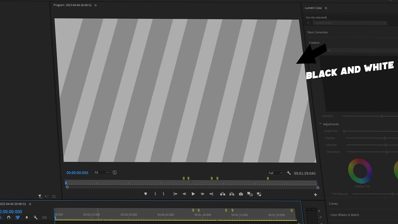 How To GET Black&White In ADOBE PREMIERE PRO! (Really Easy) - YouTube
