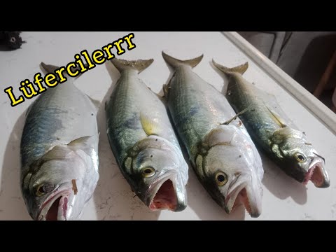 Popper ile Balık Avı / Heyecan Aksiyon Tavan Yaptı
