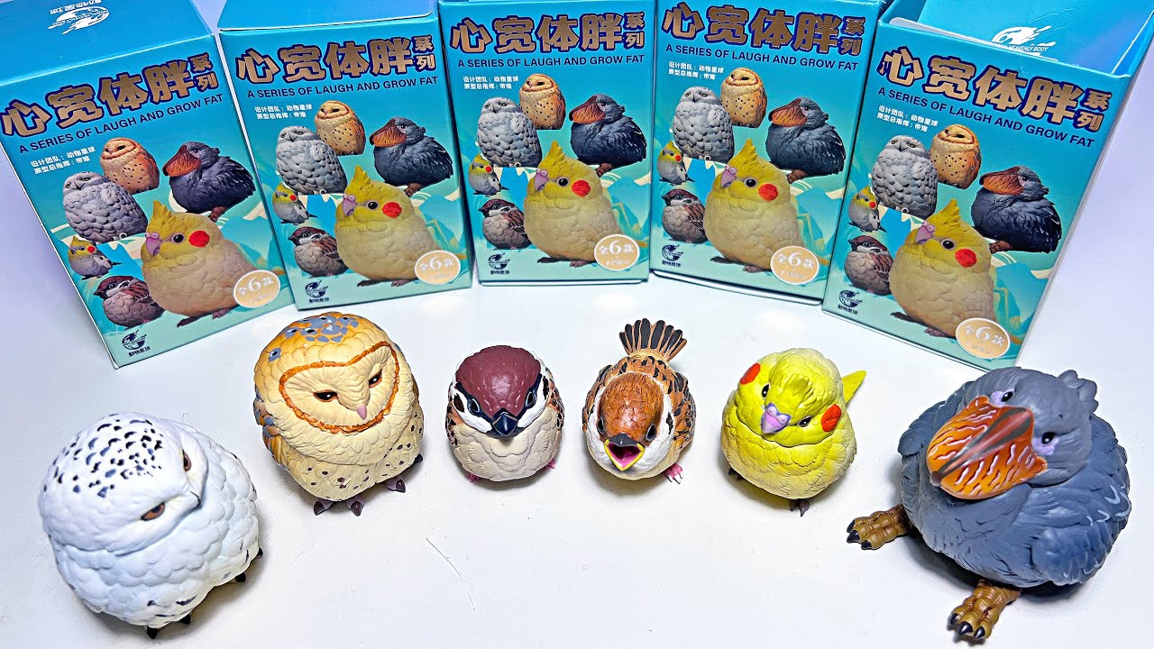 Sea Animals & Birds Blind Boxes Collection - Owl, Snowy Owl, Shoebill ...