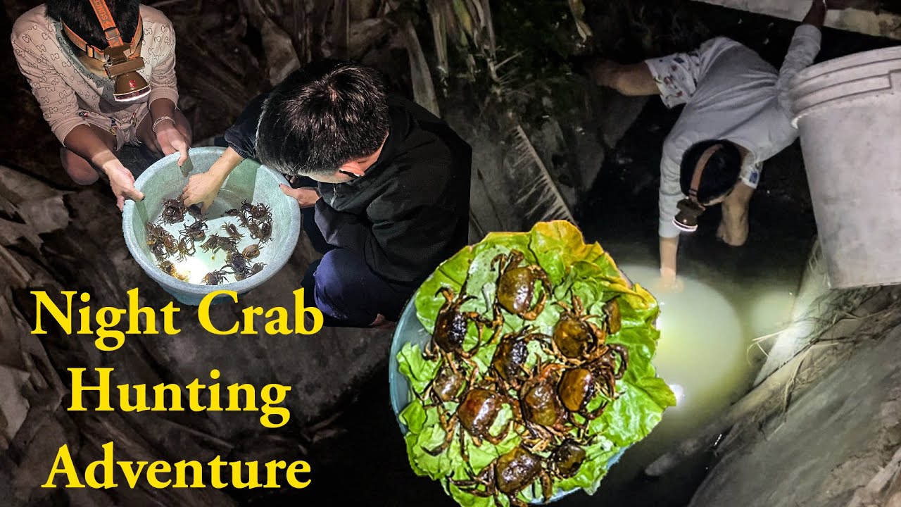 Thrilling Night Crab Hunting & Outdoor Feast | Tranquil Survival ...