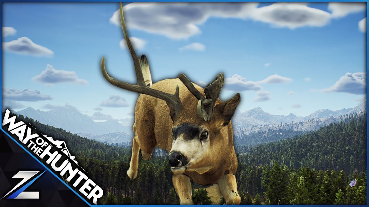 Abnormal Antlers on Mule Deer in Way of the Hunter - Hollywood! - YouTube