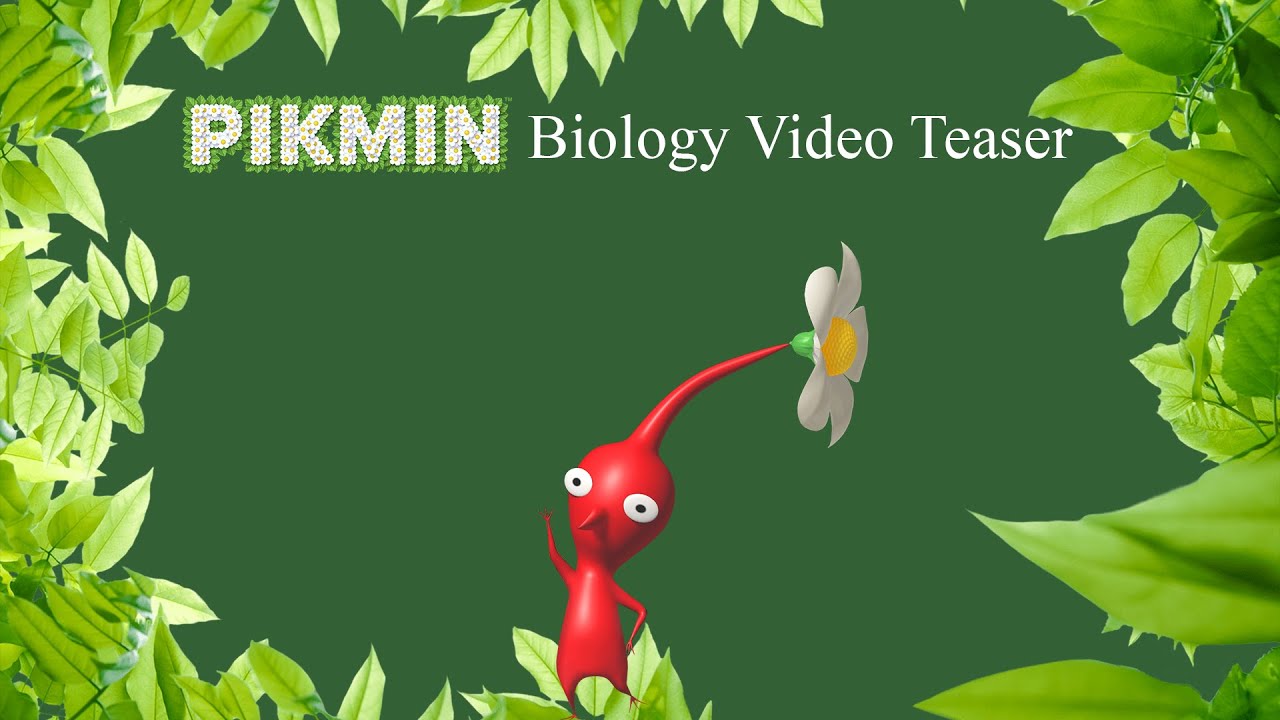Pikmin Biology Video Teaser - YouTube