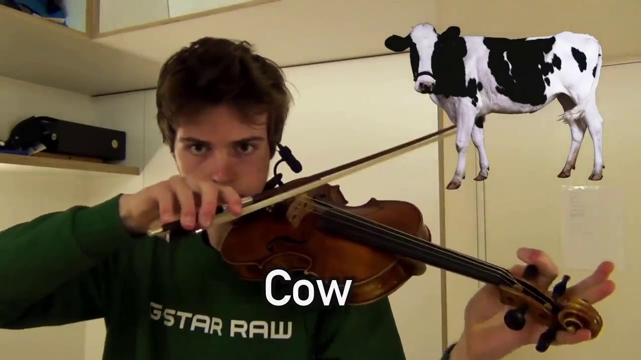 animal sounds on violin - YouTube