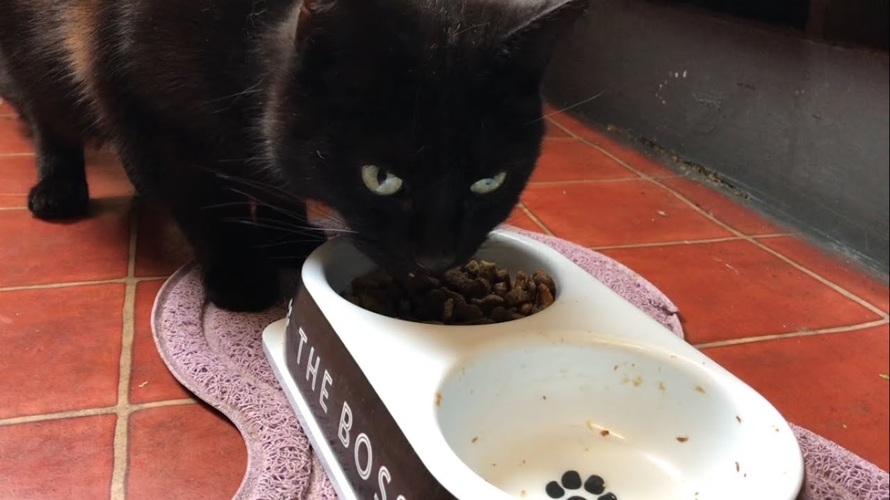 Thank Crunchie It's Friday - YouTube