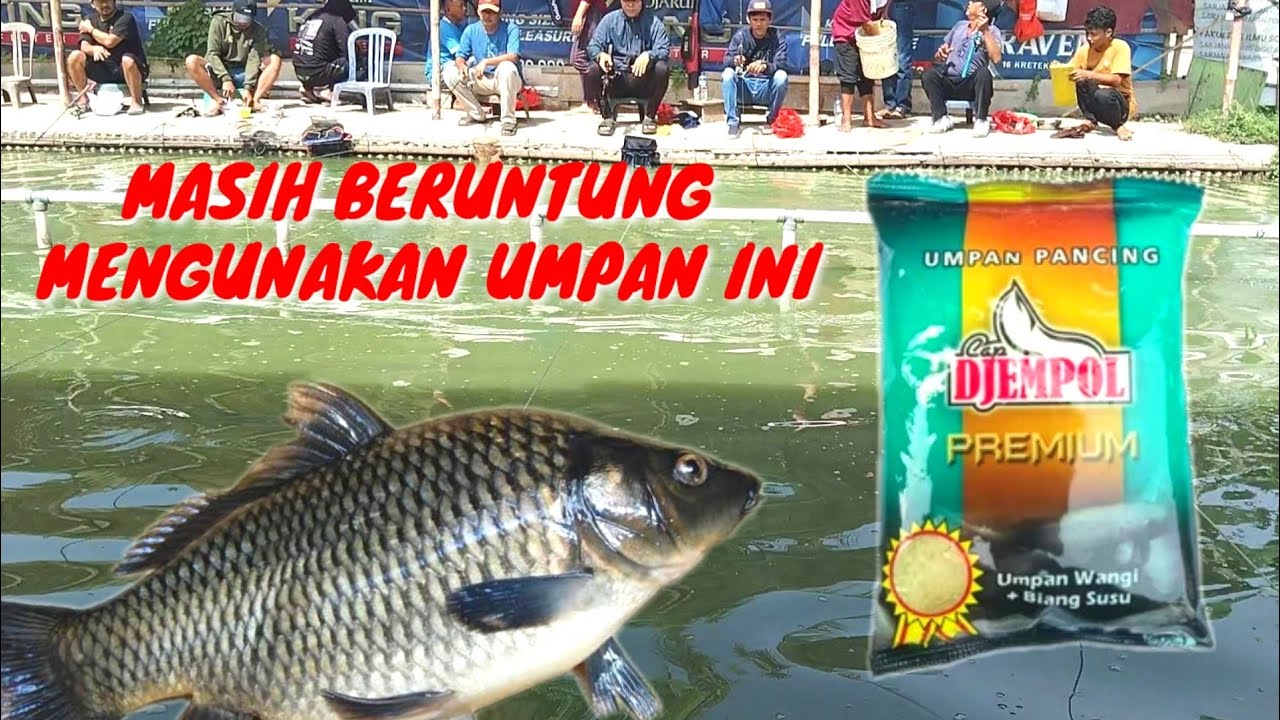 BERUNTUNG MENGUNAKAN UMPAN PREMIUM WANGI BIANG SUSU AMISAN IKAN NILA ...