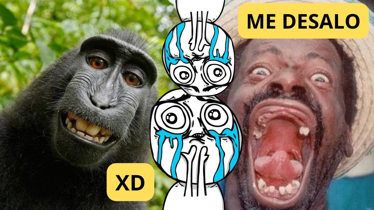 Recopilación MEJORES videos de RISA 2024 - SI TE RIES PIERDES ...