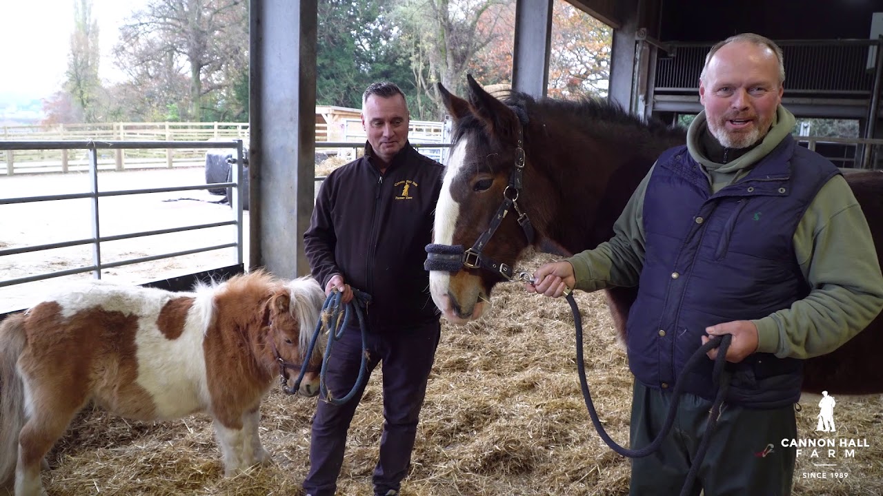 Cannon Hall Farm TV Episode 6 - YouTube