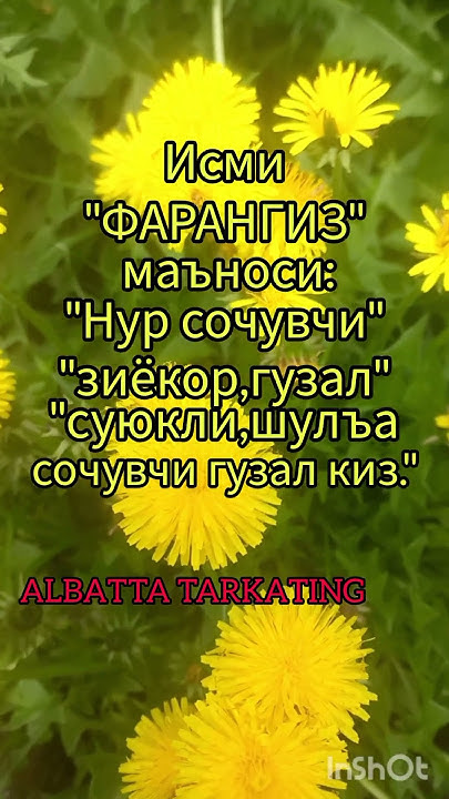 исми Фарангиз маъноси: #surrah #тикток #суралар #nature #sura #шортс # ...