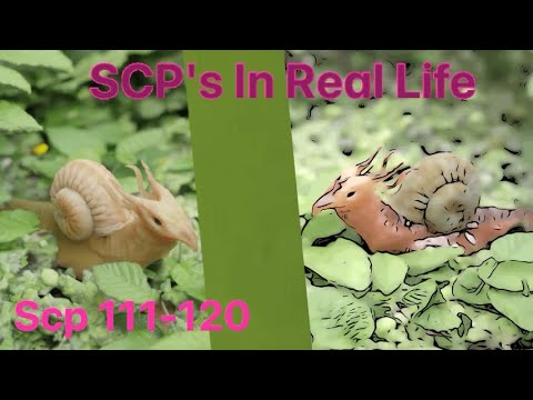 Real SCP's | SCP 111-120 (SCP Library) - YouTube