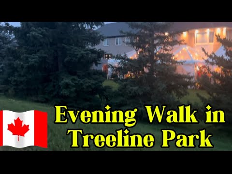 Evening Walk In Treeline Park Brampton - YouTube