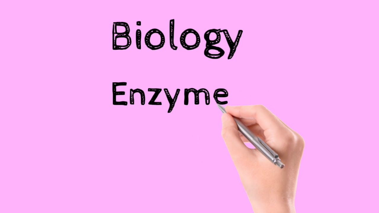 Enzymes |Mnemonics of enzymes|Mnemonics for enzymes of pancreatic juice ...
